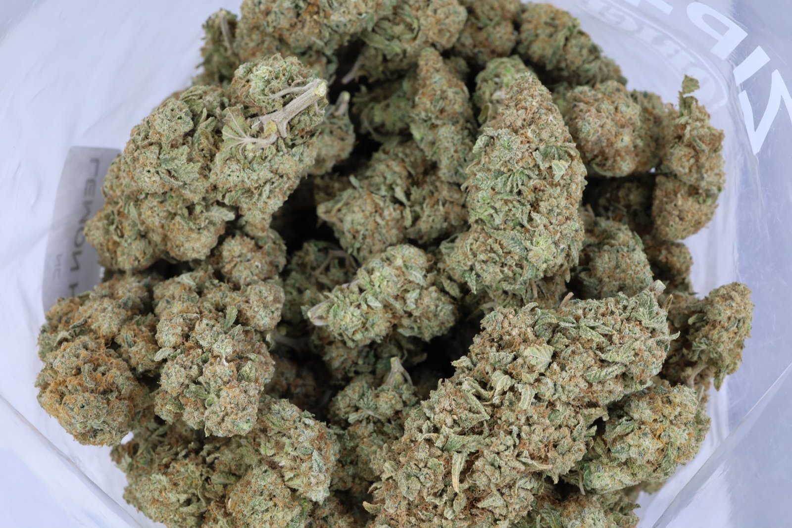 Lemon Haze - Shroomyz